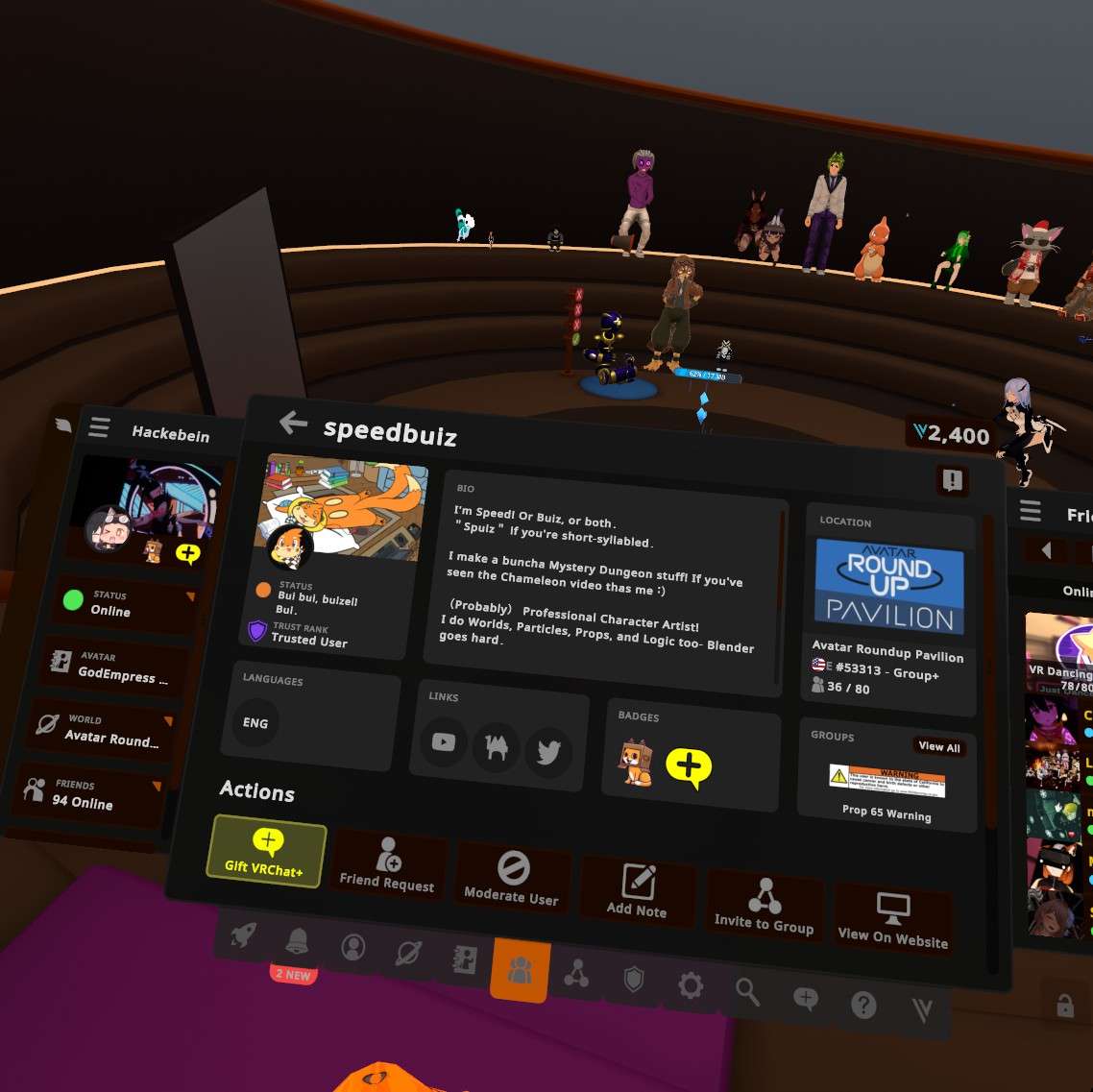 Profile shows unexpected informations | Voters | VRChat