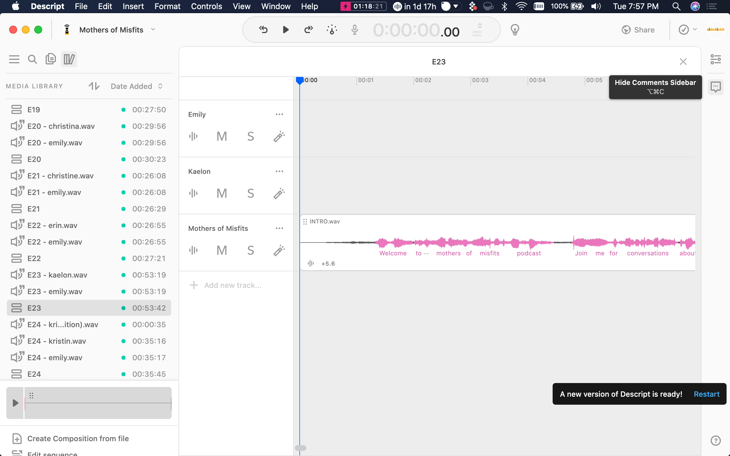 View/Create Comments in Multi-Track Sequence | Voters | Descript